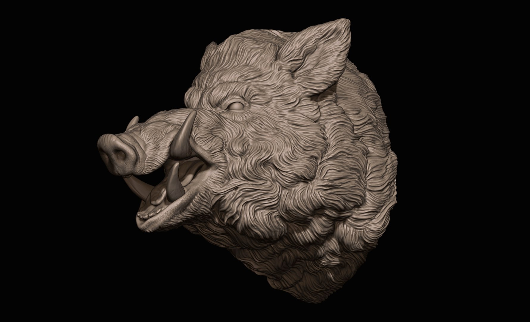 3D Model Wild Boar - TurboSquid 1760383