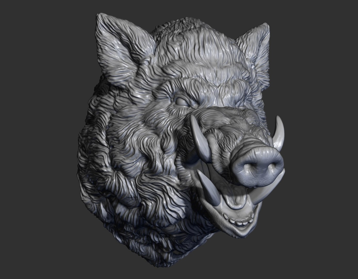 3D Model Wild Boar - TurboSquid 1760383