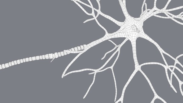 modelo 3d Tipos de neuronas - TurboSquid 2280418
