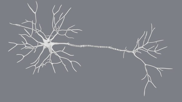modelo 3d Tipos de neuronas - TurboSquid 2280418