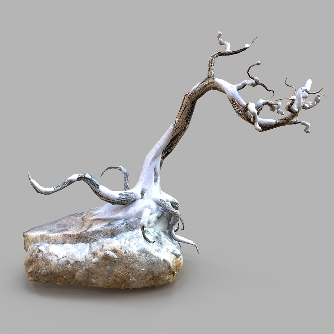 Old Tree 3D - TurboSquid 1369300