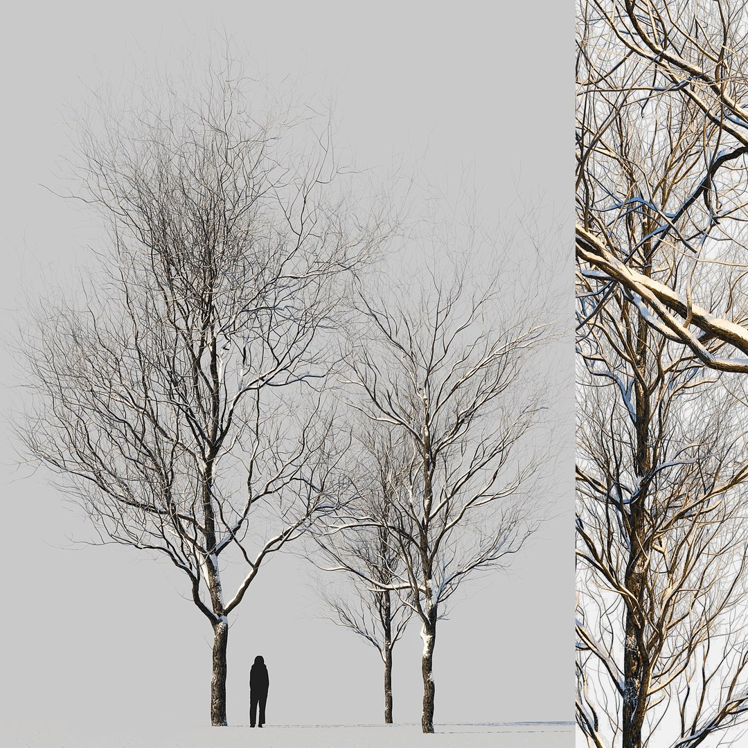 Snow Covered Trees 3D Model - TurboSquid 1994899