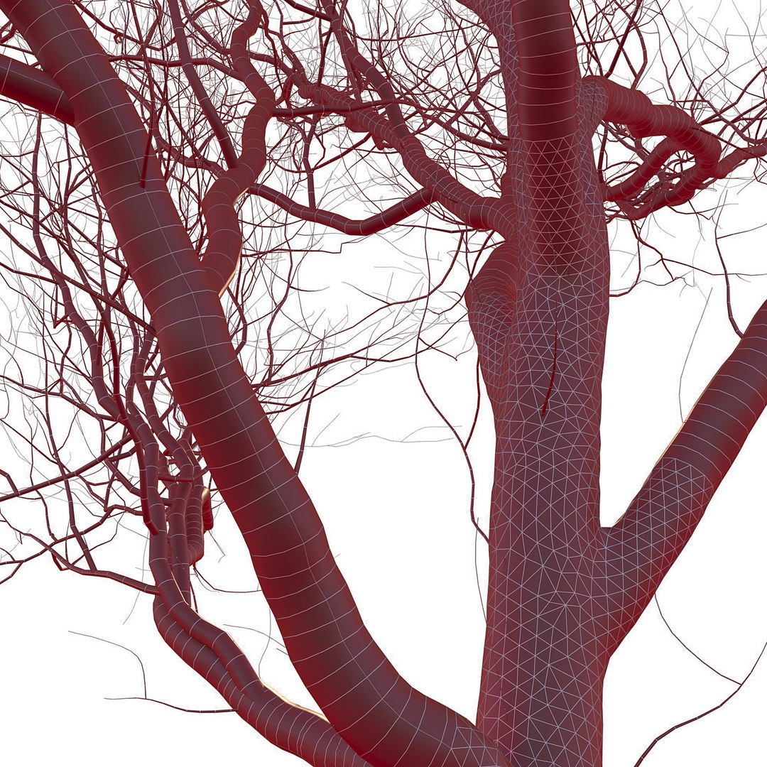 Snow Covered Trees 3D Model - TurboSquid 1994899