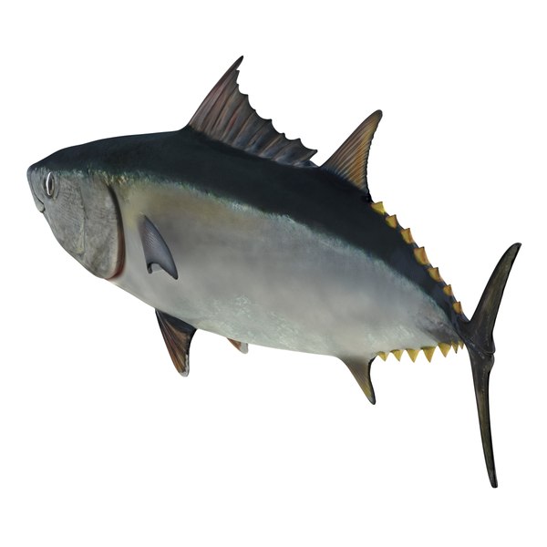 tuna fish rigged 3d ma