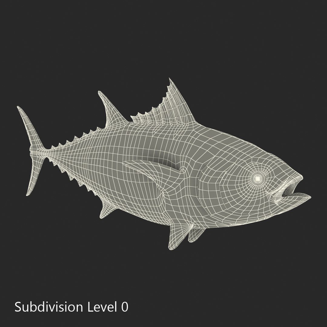 tuna fish rigged 3d ma