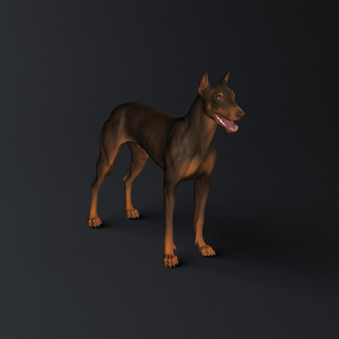 3d Model Doberman Dog