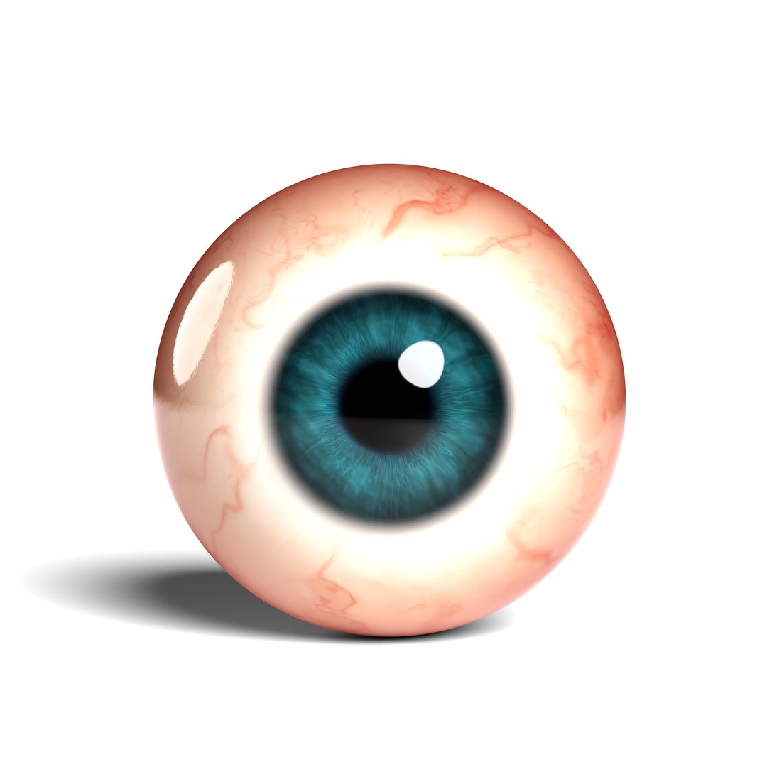 Eyeballs 3D Model - TurboSquid 2002678