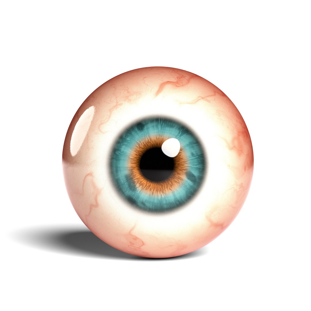 Eyeballs 3D Model - TurboSquid 2002678