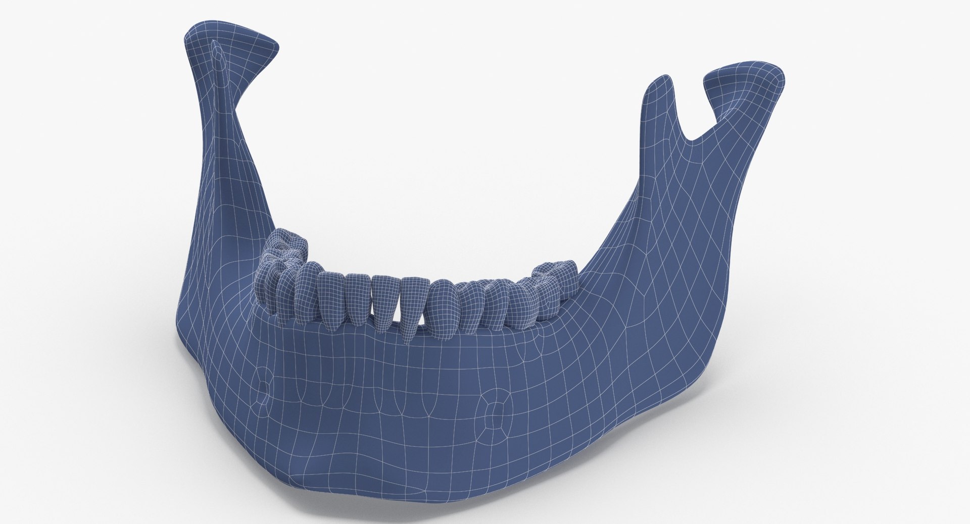 Human Woman Jawbone Mandible 3D - TurboSquid 1612763