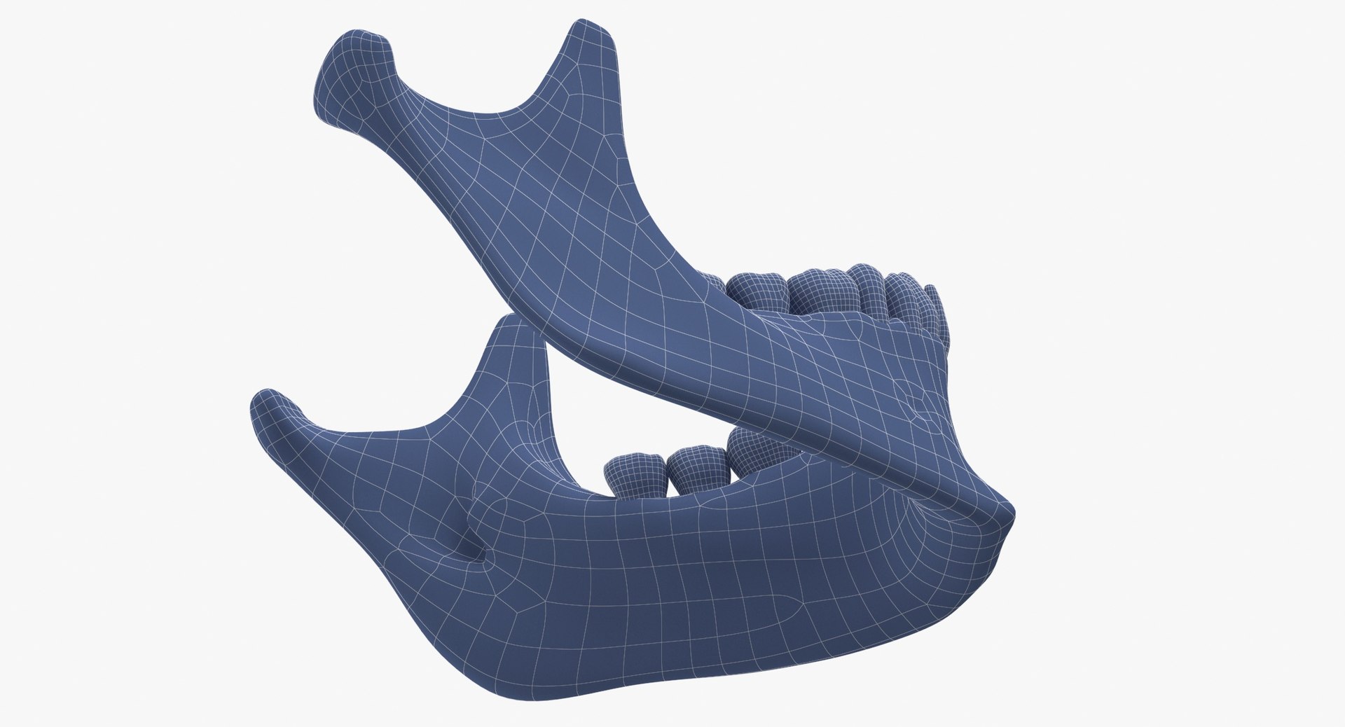 Human Woman Jawbone Mandible 3D - TurboSquid 1612763