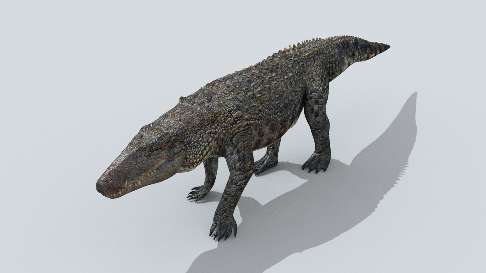 Postosuchus Barinasuchus Fasolasuchus HD - 3d Animated Model ...