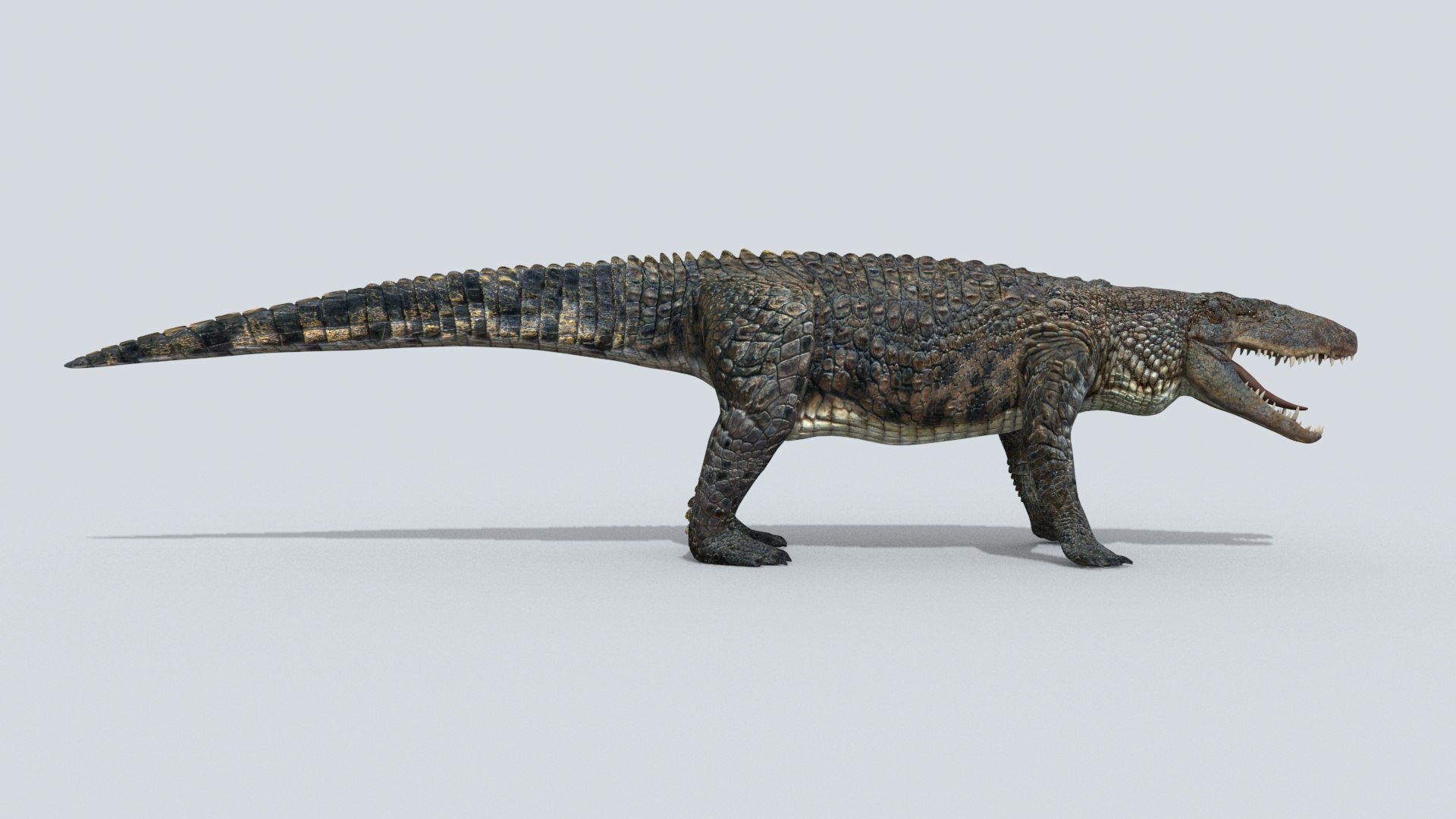 Postosuchus Barinasuchus Fasolasuchus HD - 3d Animated Model ...