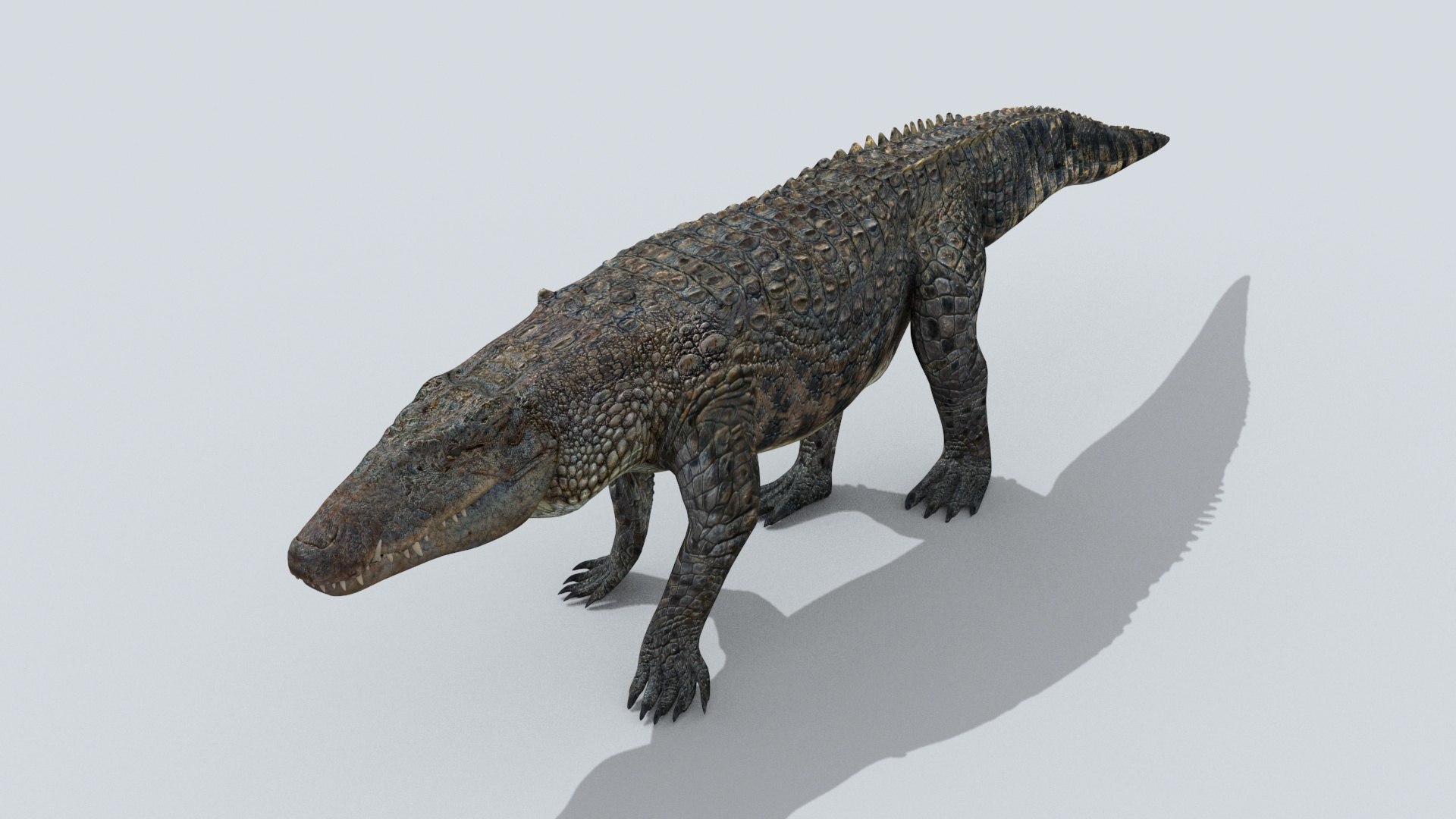 Postosuchus Barinasuchus Fasolasuchus HD - 3d Animated Model ...