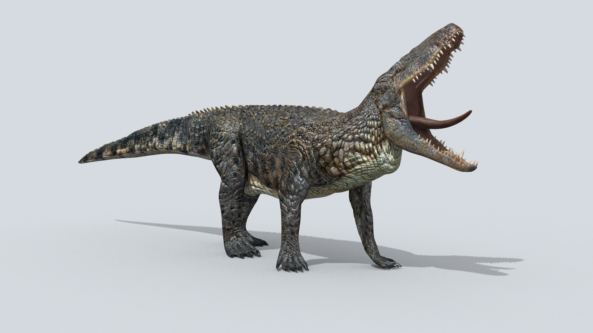 Postosuchus Barinasuchus Fasolasuchus HD - 3d Animated Model ...