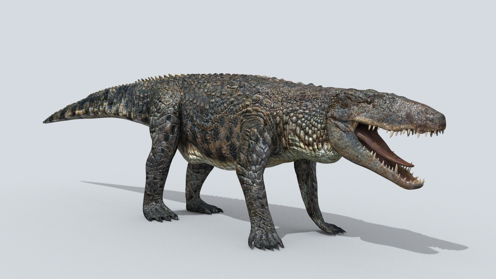 Postosuchus Barinasuchus Fasolasuchus HD - 3d Animated Model ...