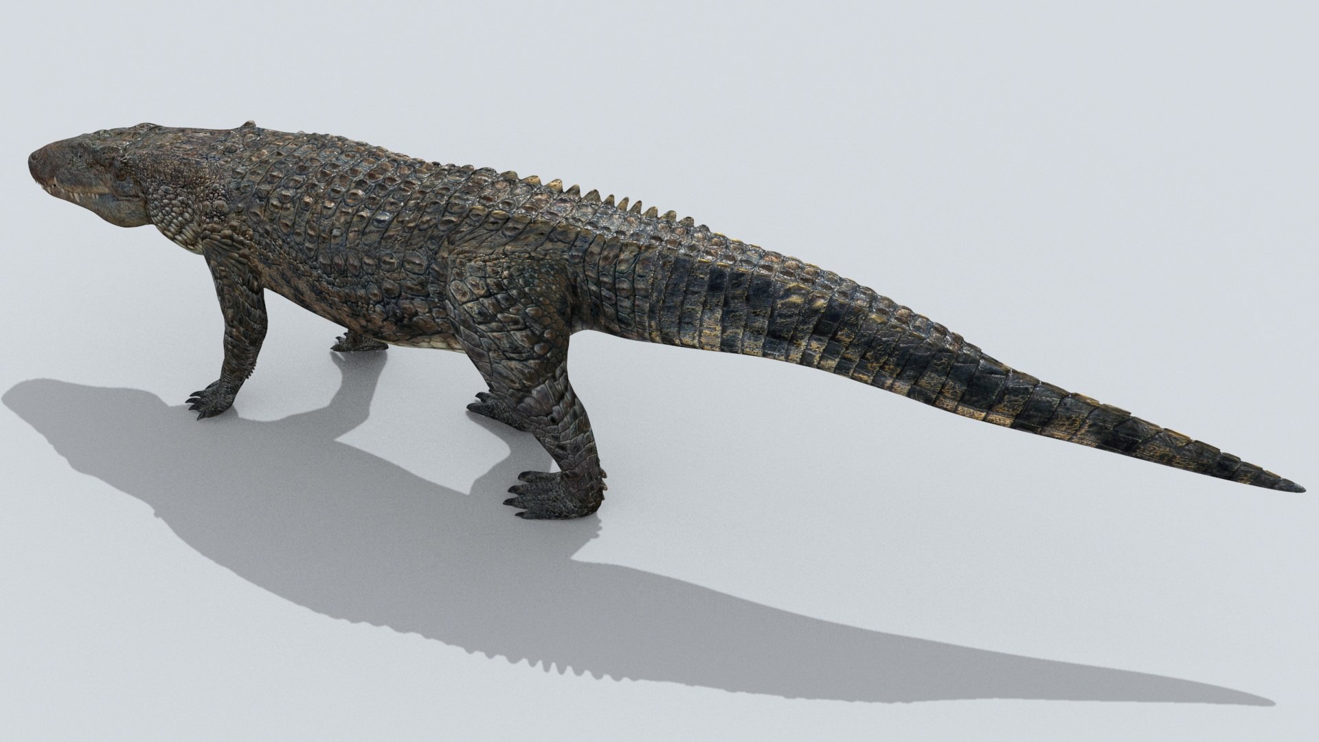 Postosuchus Barinasuchus Fasolasuchus HD - 3d Animated Model ...