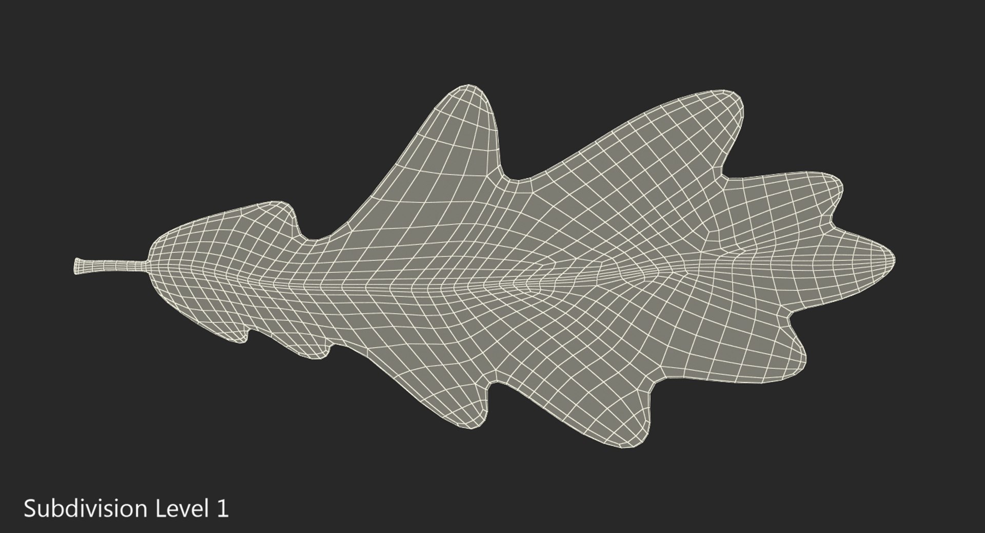 Oak Leaf 3D Model - TurboSquid 1297494