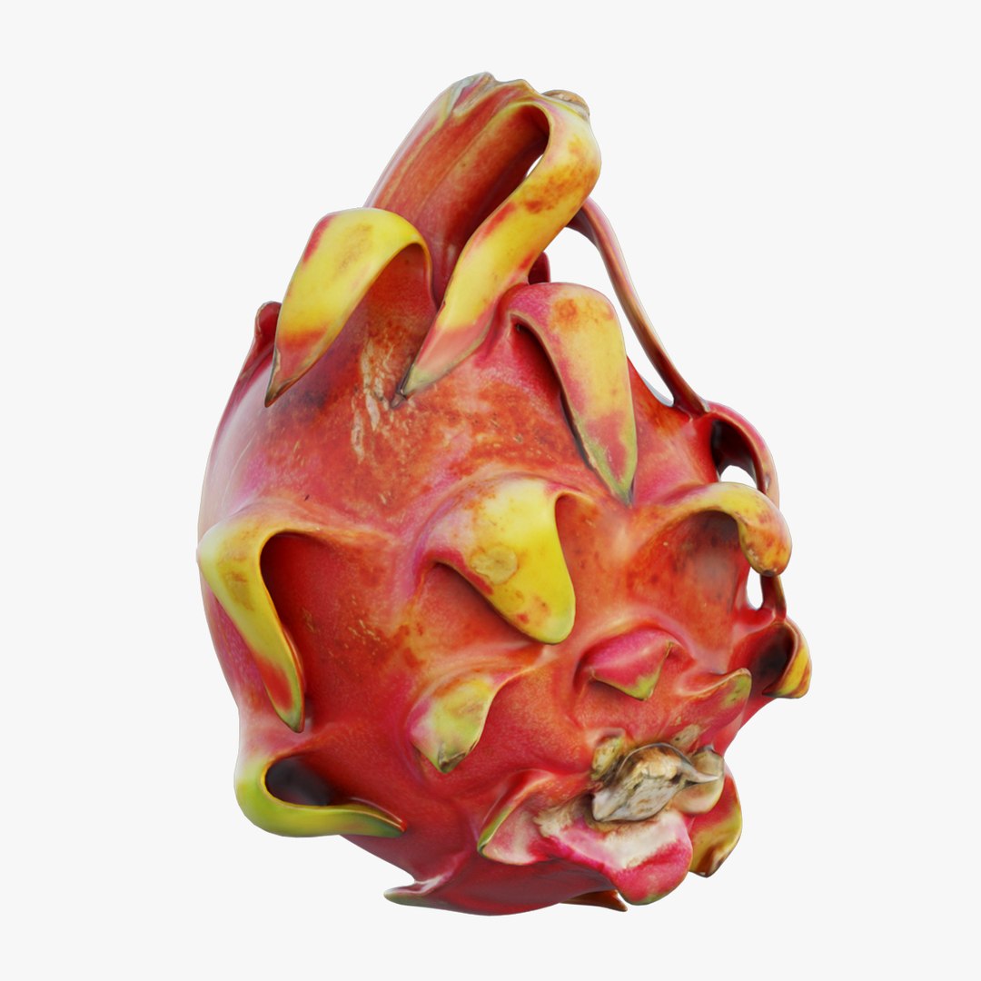 Dragon fruit 08 3D model - TurboSquid 1924469