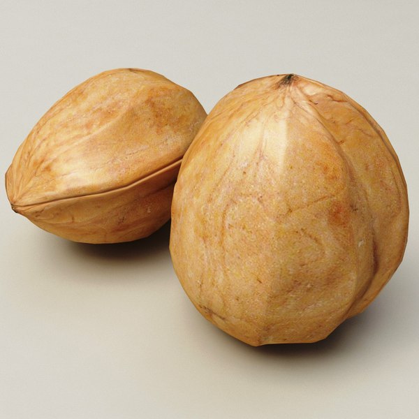 3d walnut modelled model