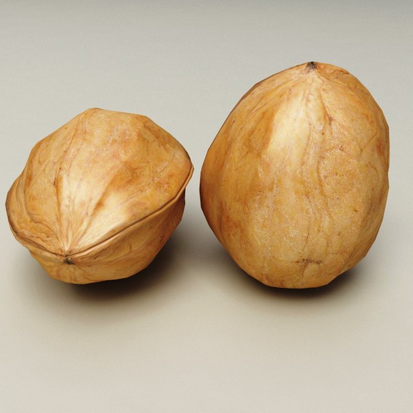 3d walnut modelled model