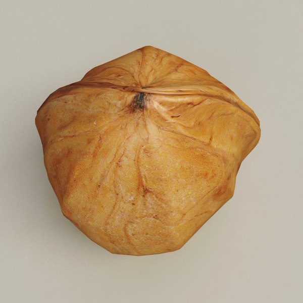 3d walnut modelled model