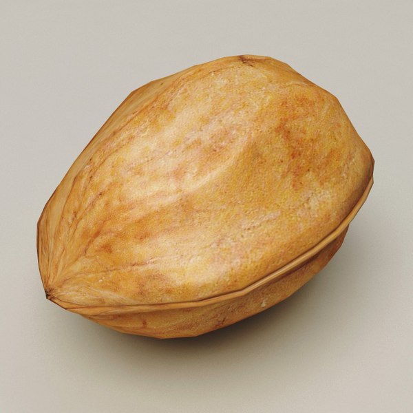 3d walnut modelled model