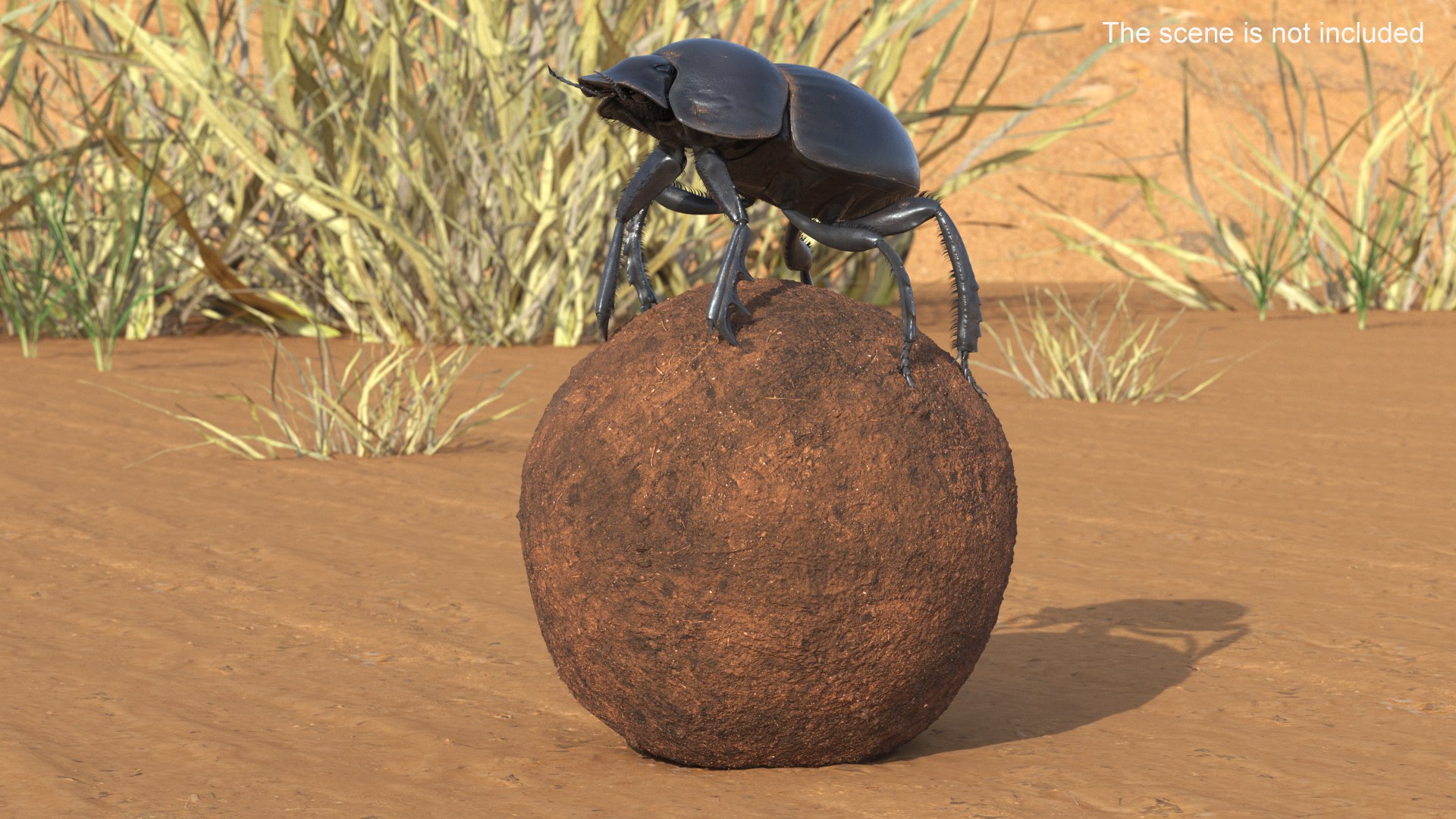 Scarabs On Sphere Dirt Fur Model - TurboSquid 2293984