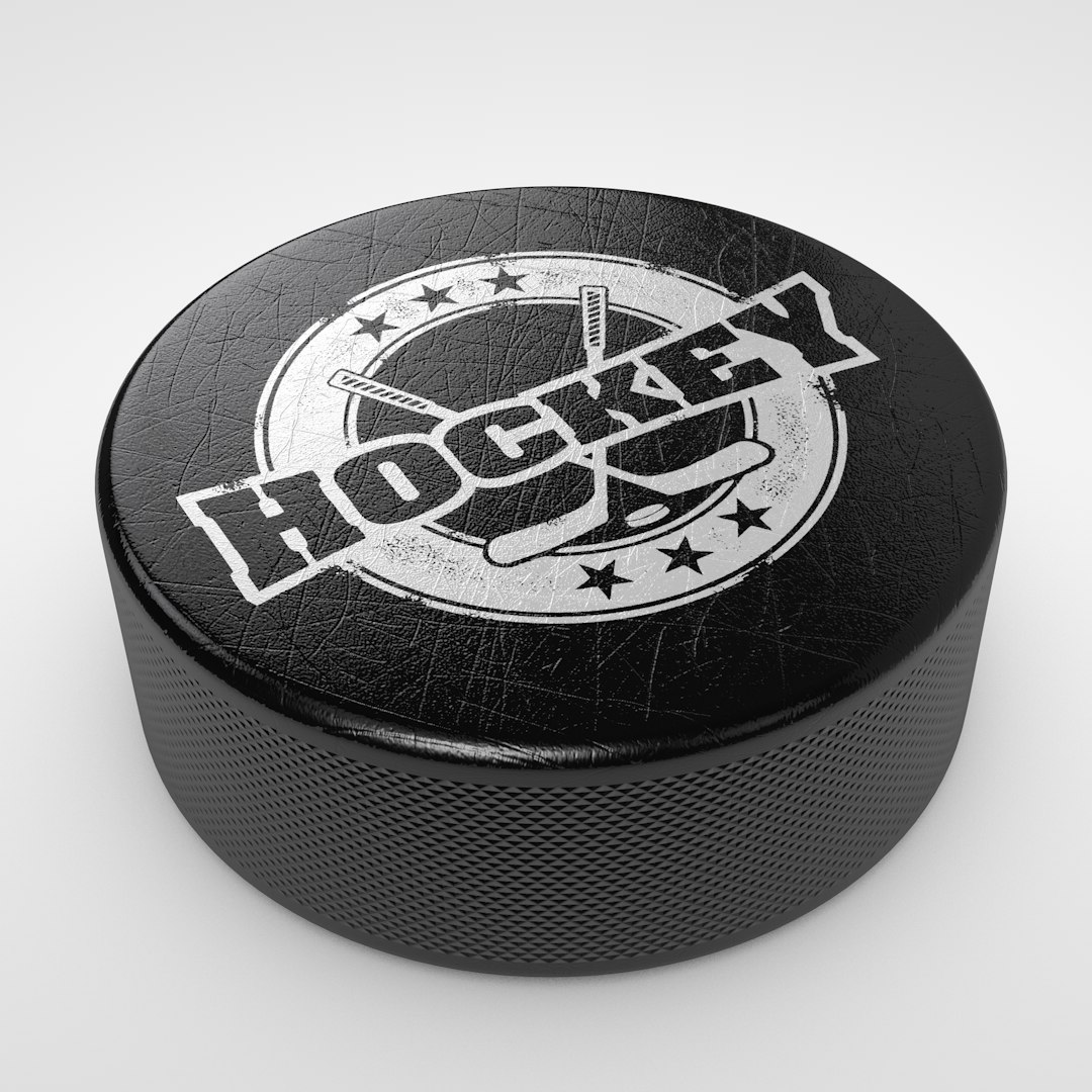 3D Model Hockey Puck - TurboSquid 1289183