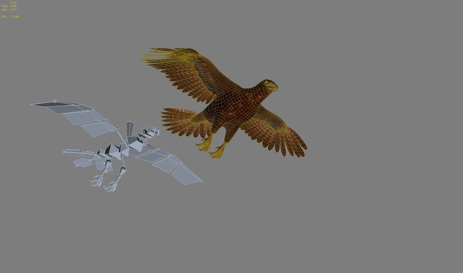golden eagle animation modeled 3d model