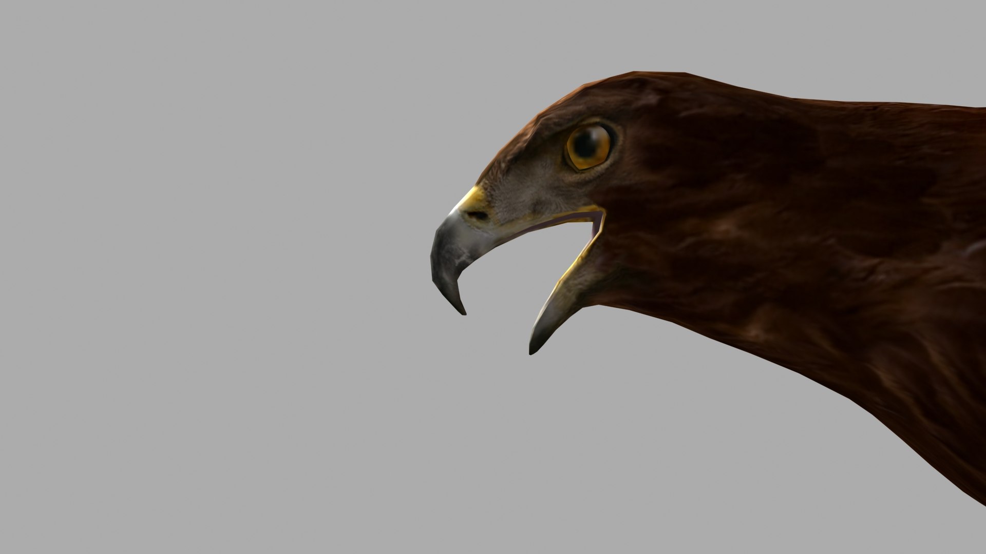golden eagle animation modeled 3d model