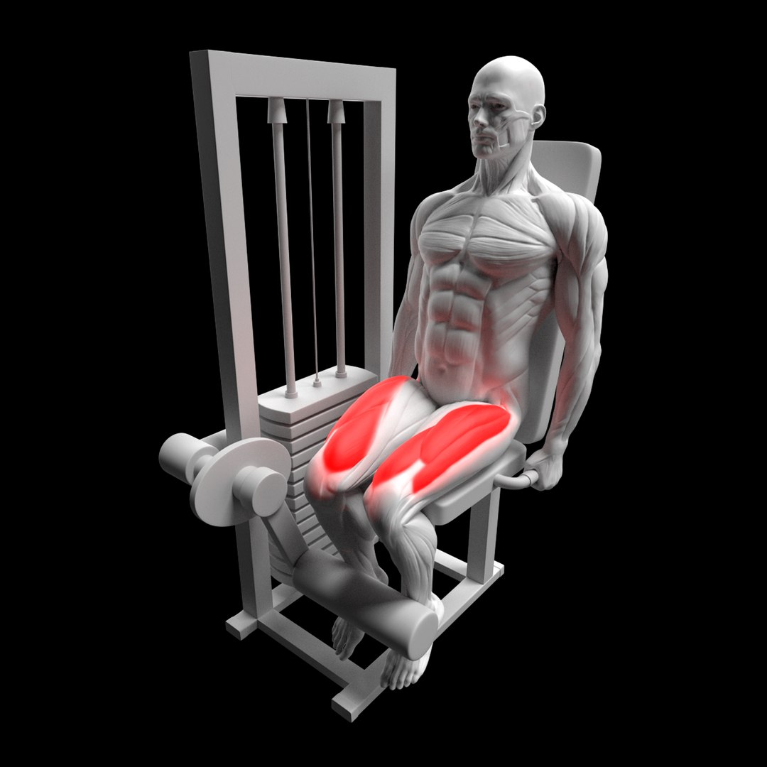 3D Leg Extension - TurboSquid 2228533