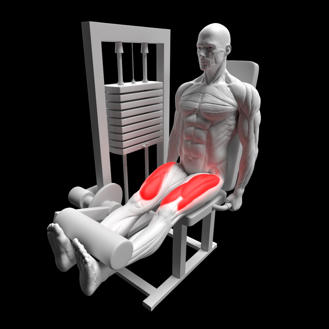 3D Leg Extension - TurboSquid 2228533