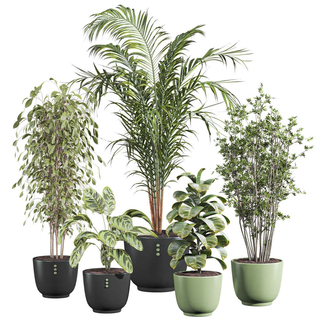 3D Plants Set Model - TurboSquid 2361946