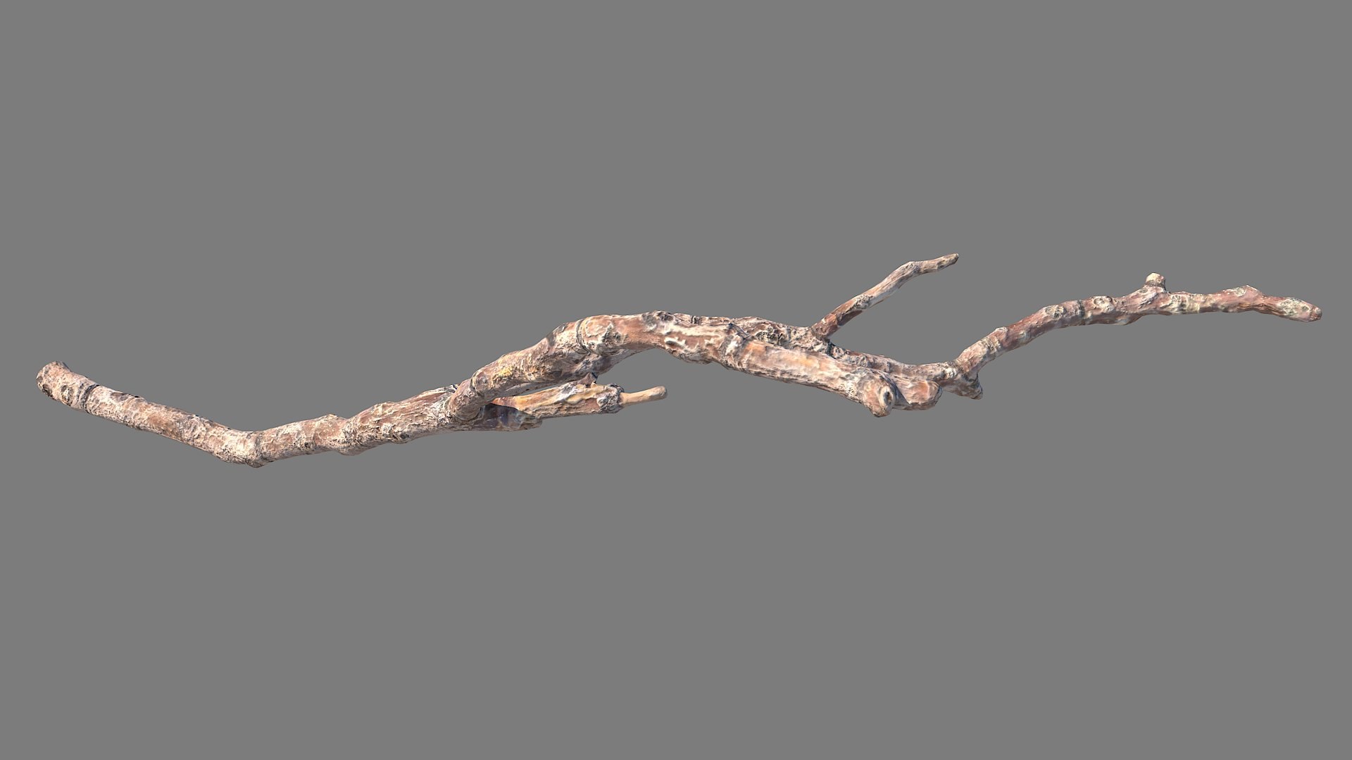 Twig Scanned 20 3D Model - TurboSquid 2088542