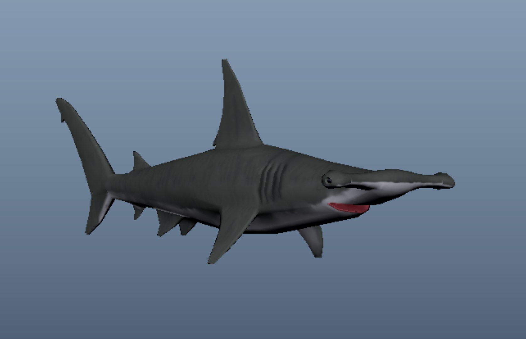 Simple Hammerhead Shark 3D Model - TurboSquid 2080431