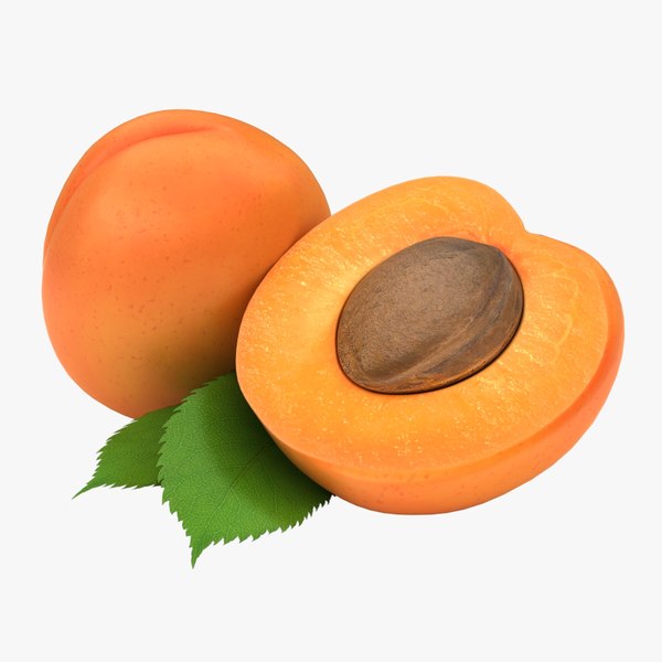 Realistic apricot 02 3D - TurboSquid 1260790