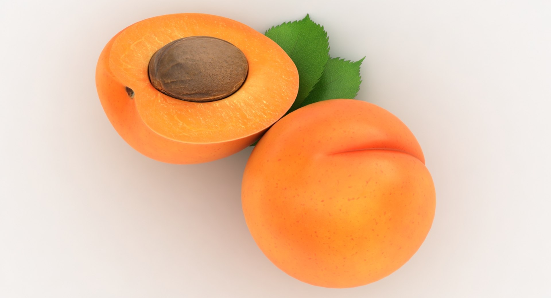 Realistic Apricot 02 3D - TurboSquid 1260790