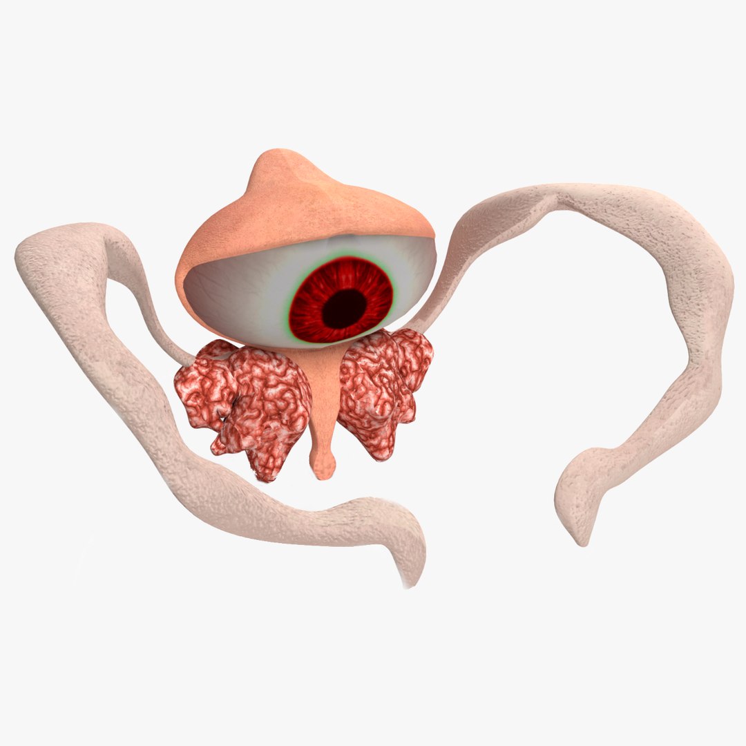 Evil Eye Monster model - TurboSquid 1798247