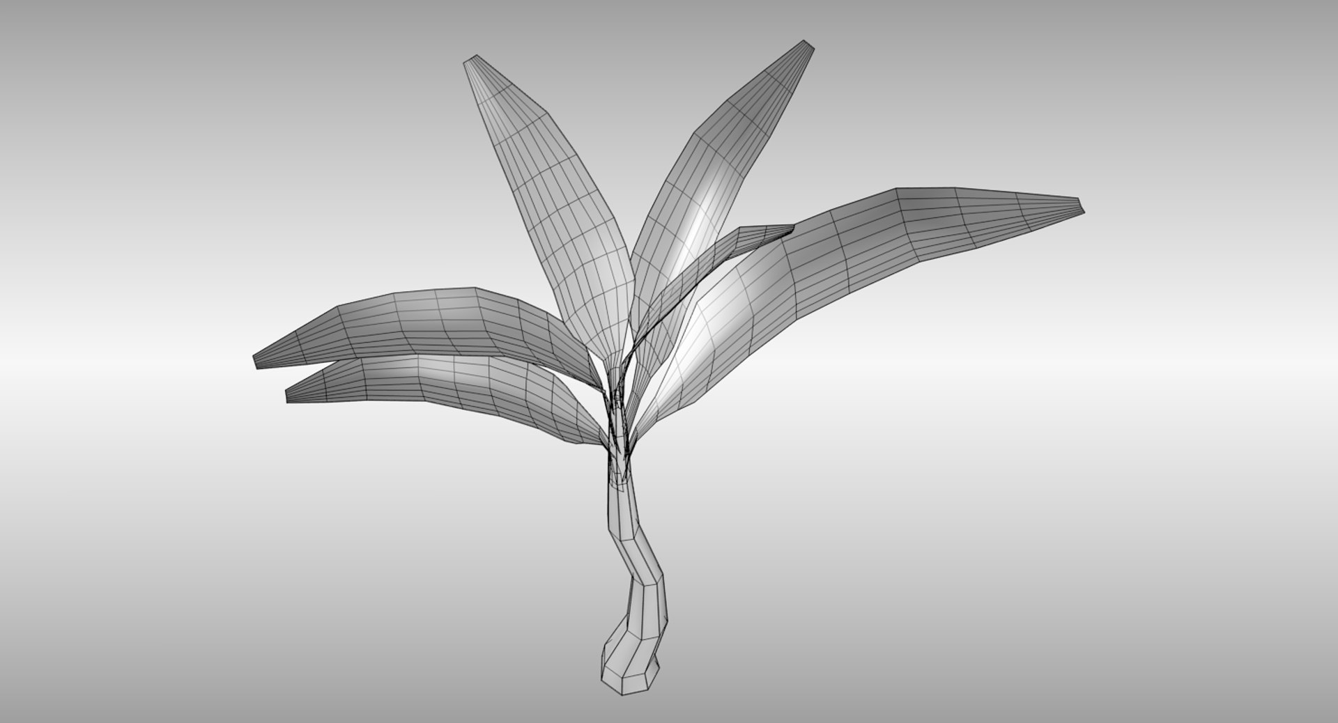 3D small plant - TurboSquid 1274486