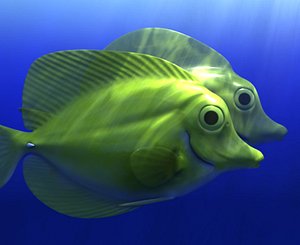 Yellow Tang 3D Models for Download | TurboSquid