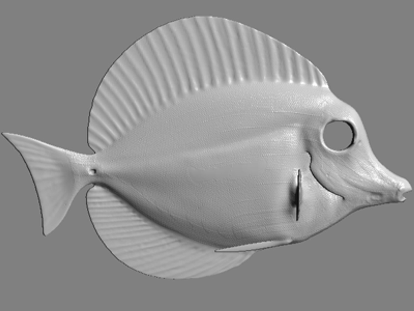 yellow tang 3d model