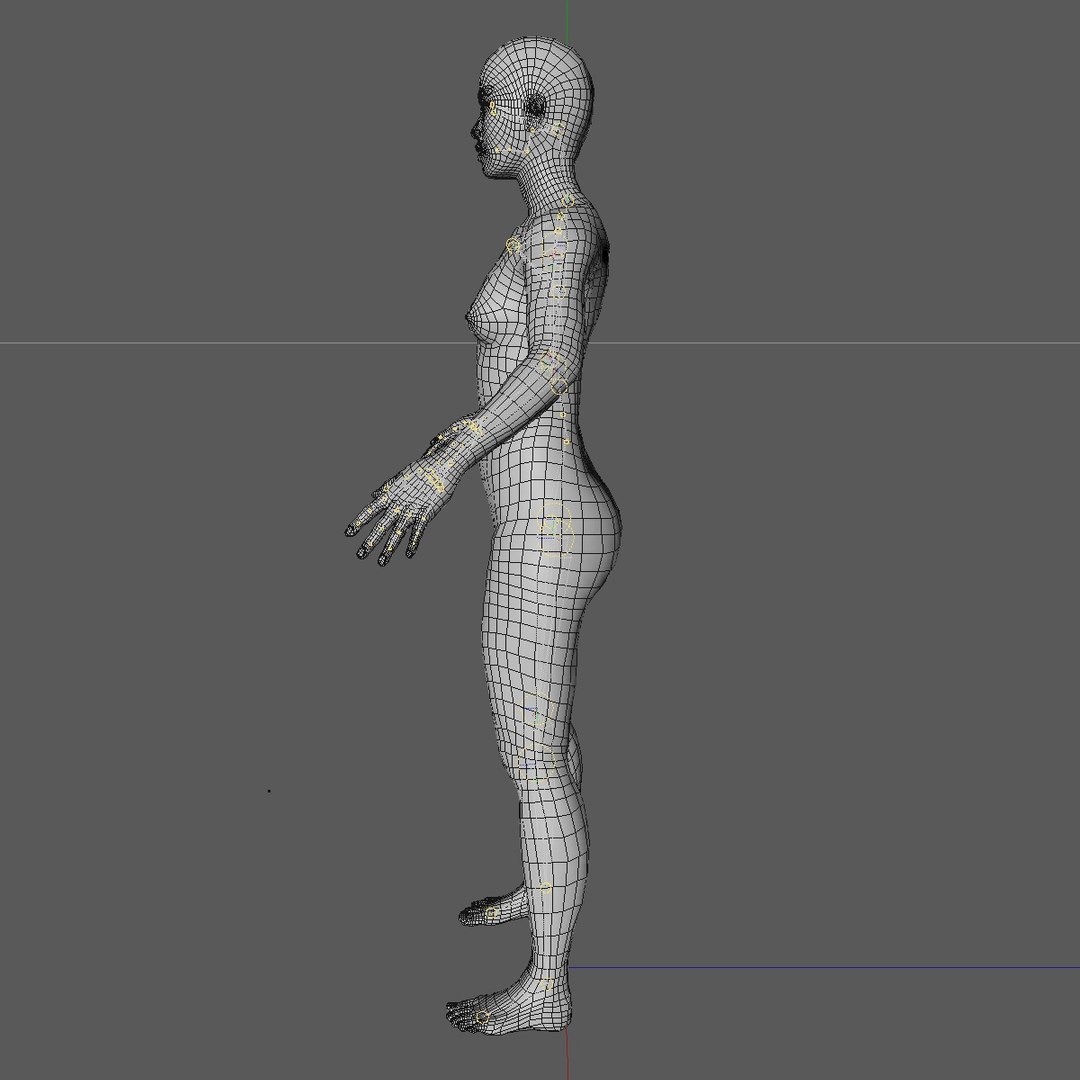 3d C4d Base Mesh 24 Year