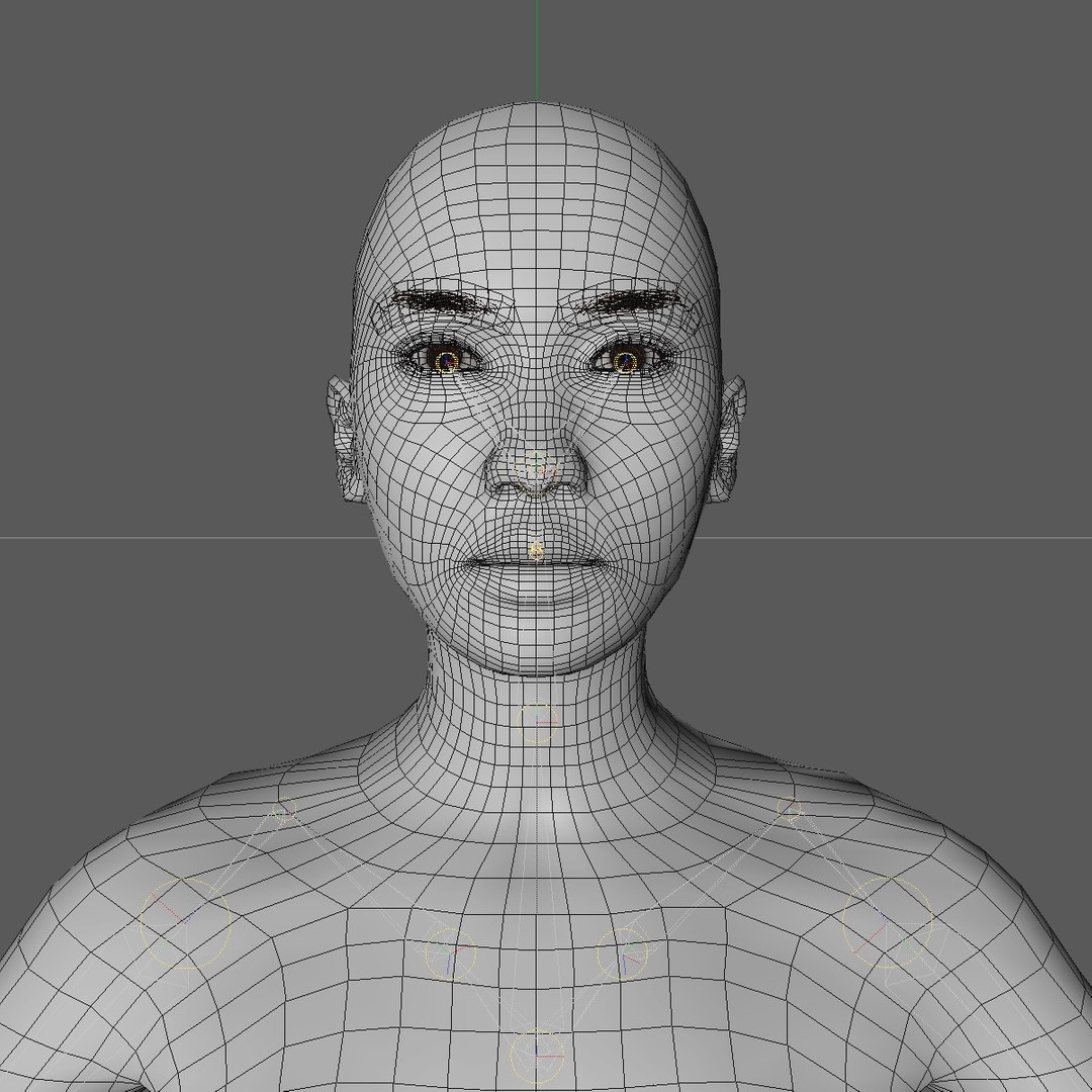 3d C4d Base Mesh 24 Year