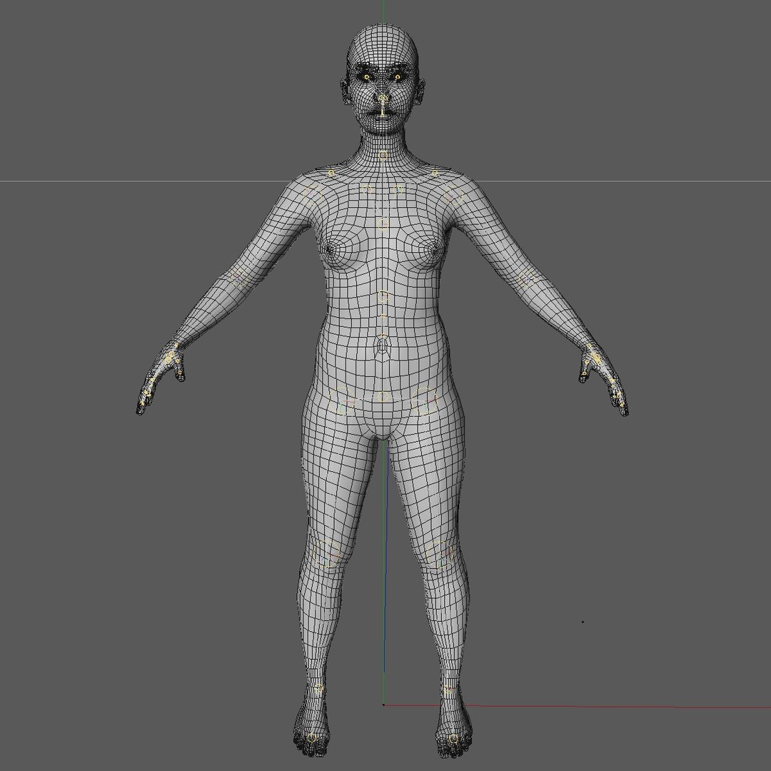 3d C4d Base Mesh 24 Year