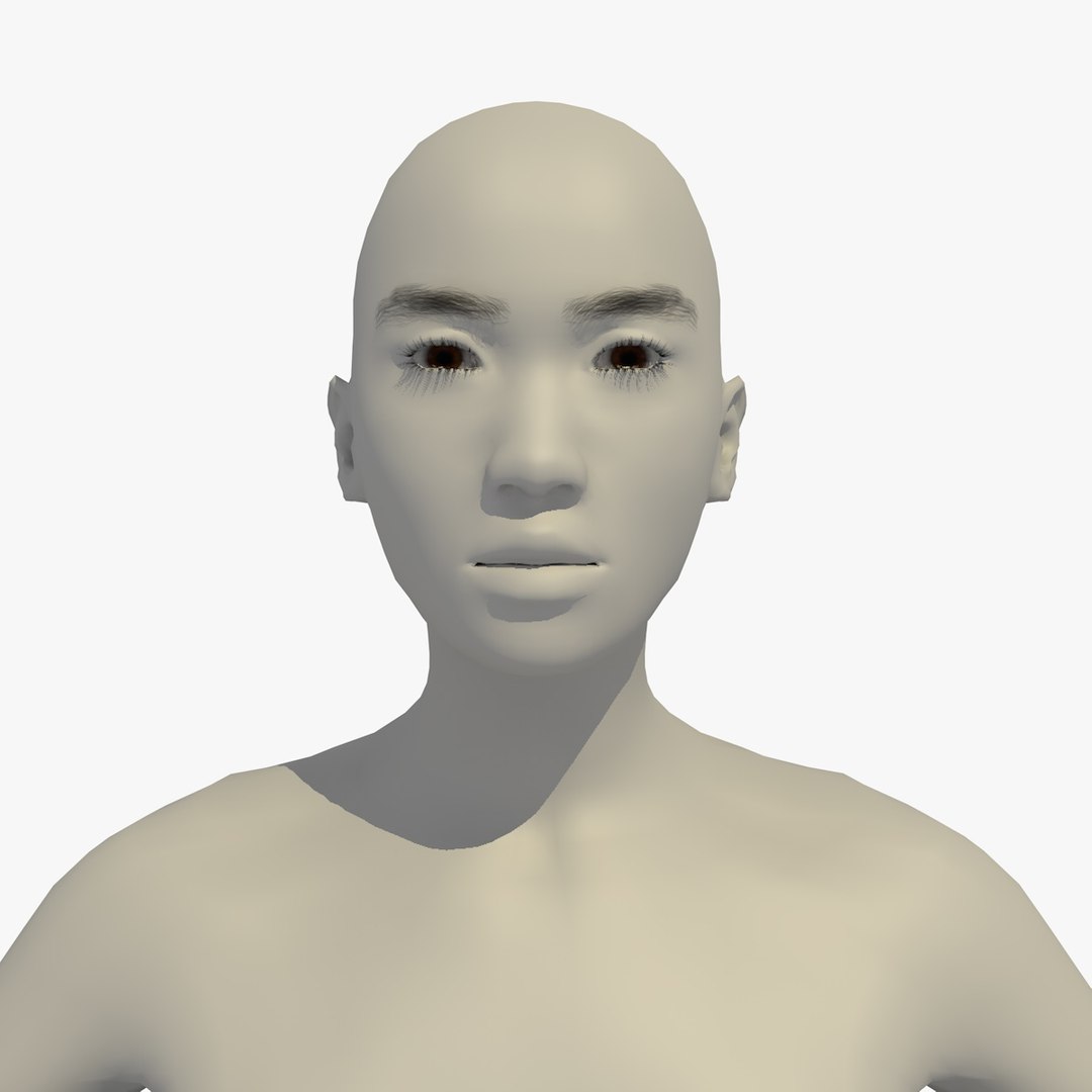 3d C4d Base Mesh 24 Year