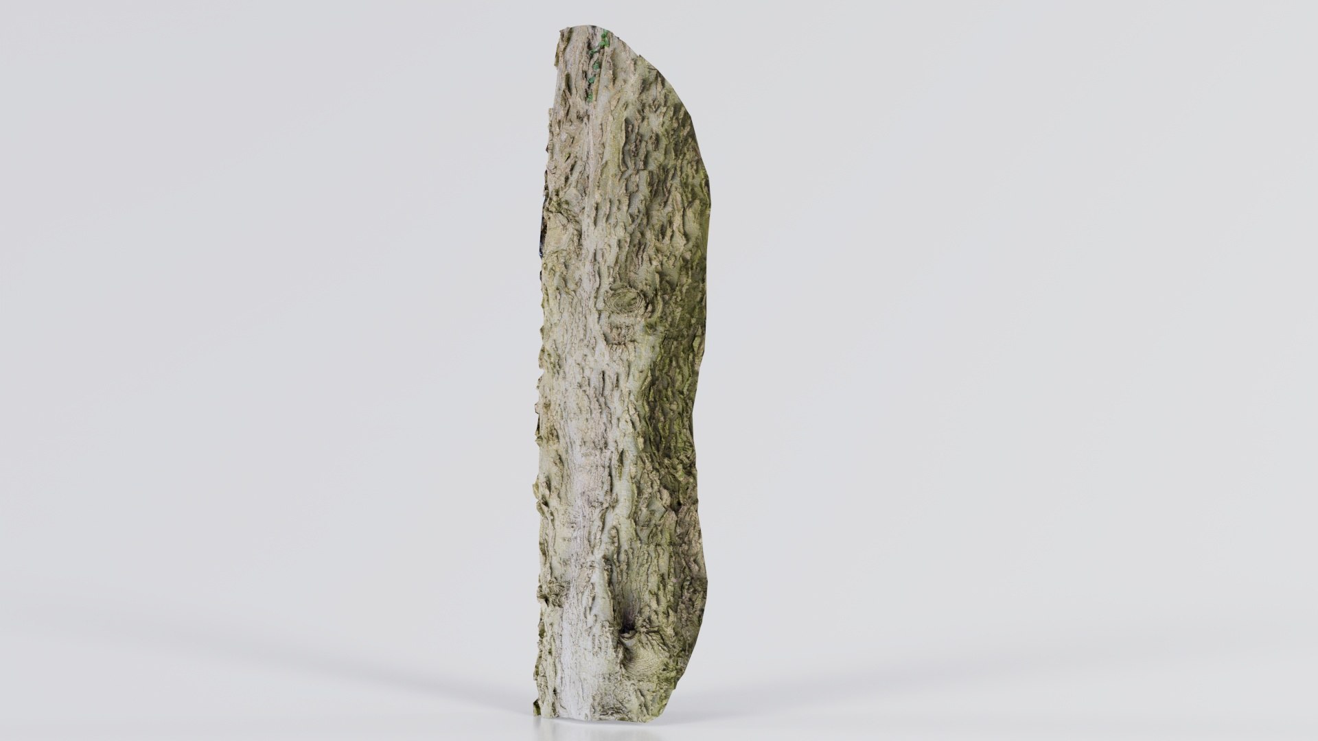 Curved Bark Remastered 3D Model - TurboSquid 2362704