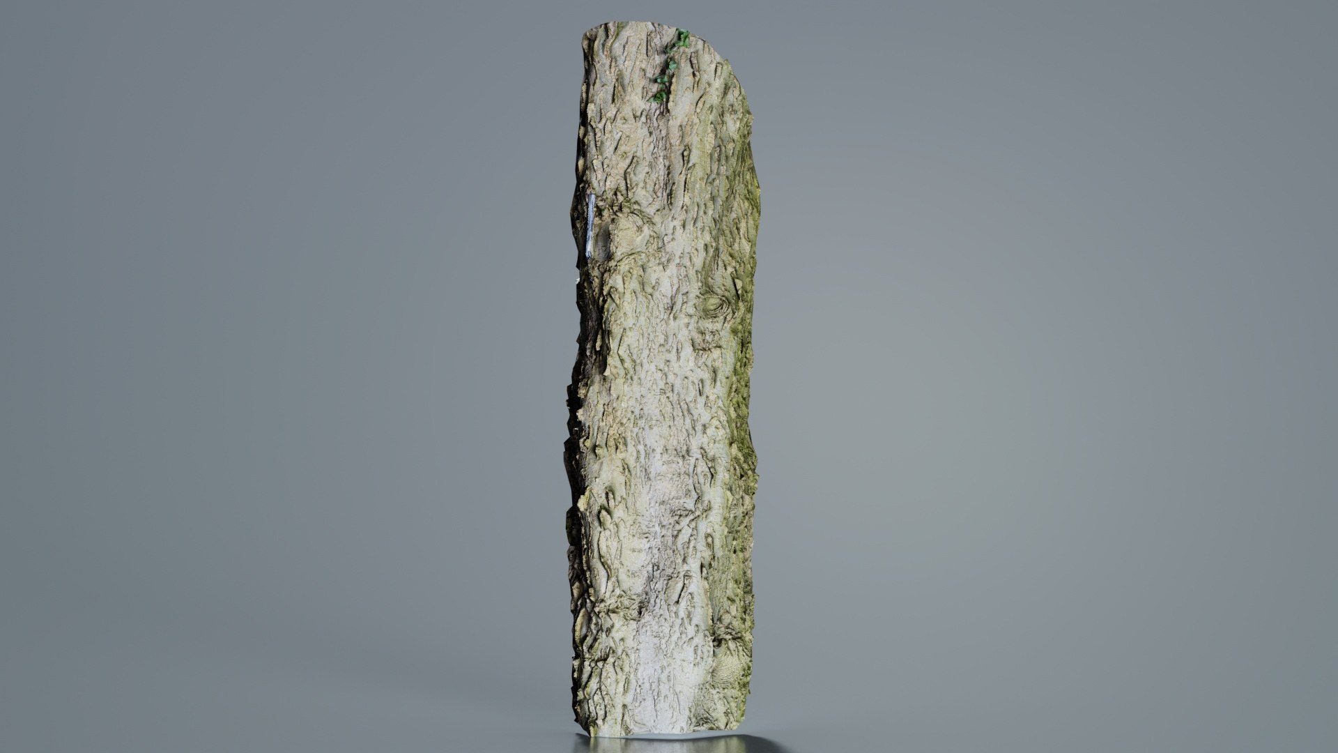 Curved Bark Remastered 3D Model - TurboSquid 2362704