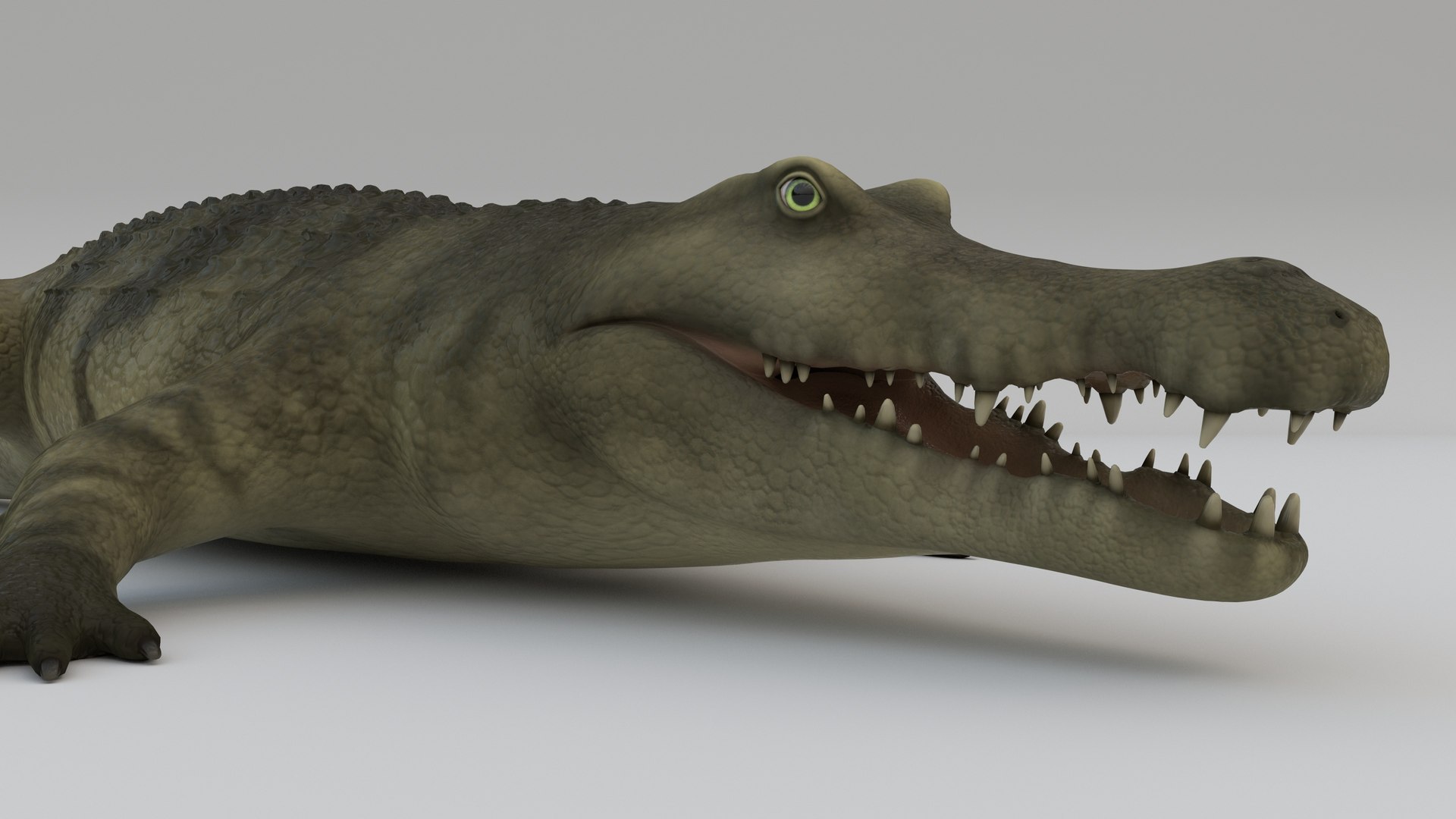 Crocodile ANIMATED 3D Model - TurboSquid 1986501