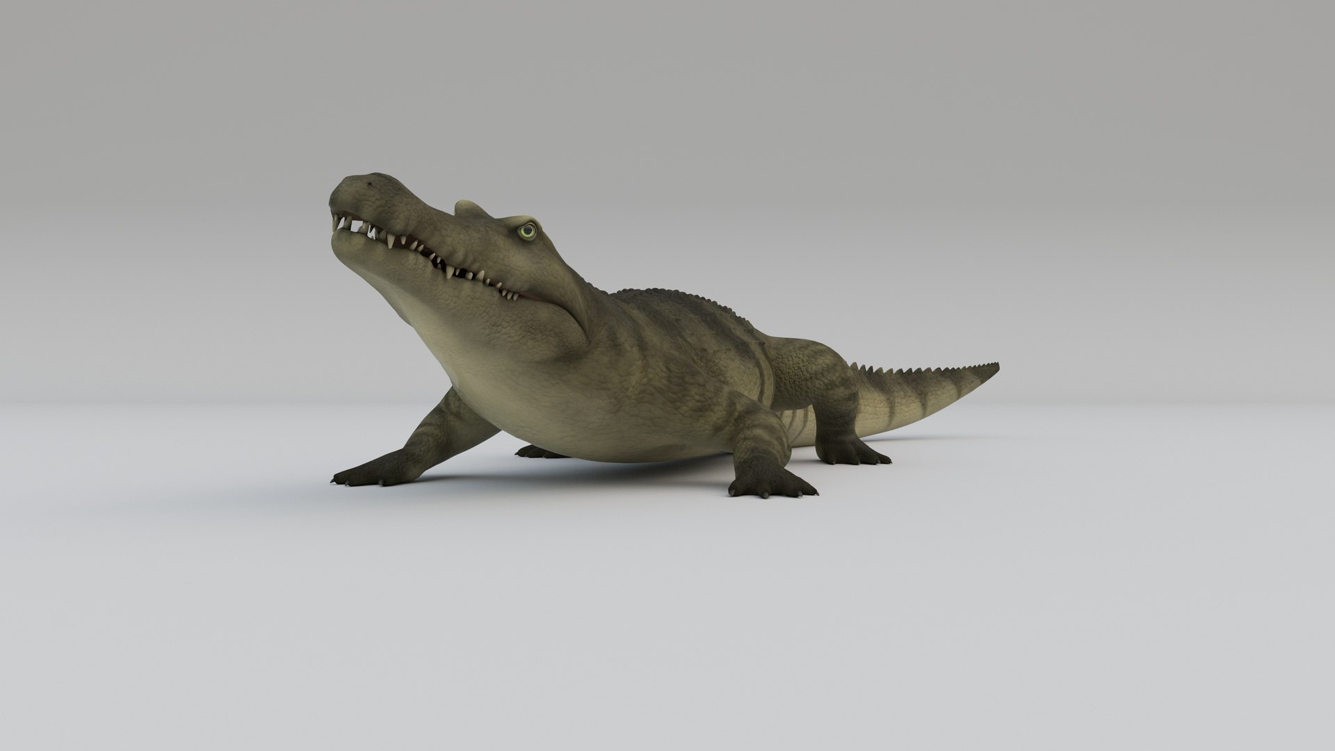 Crocodile ANIMATED 3D Model - TurboSquid 1986501
