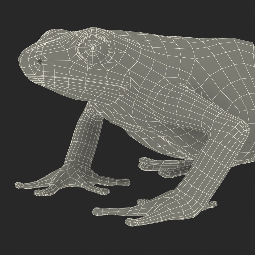 poison dart frog 3ds